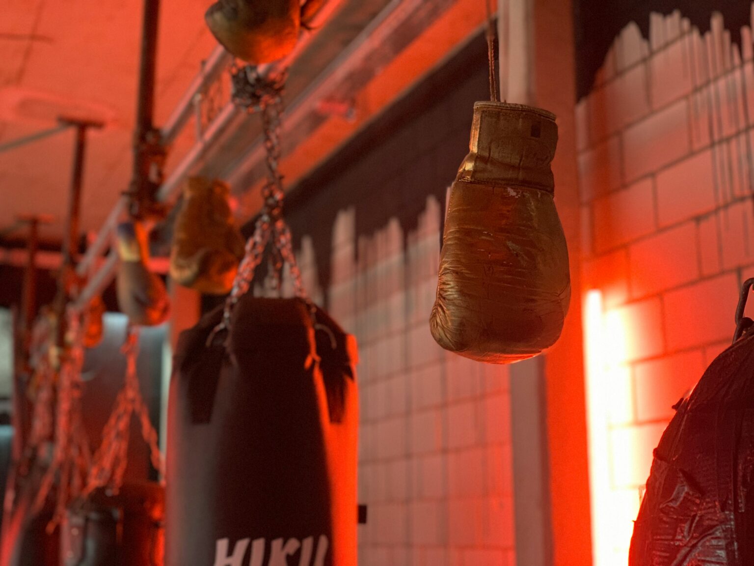 Why Boxing is the Ultimate Fitness Trend in 2025 - NXTGEN Sports